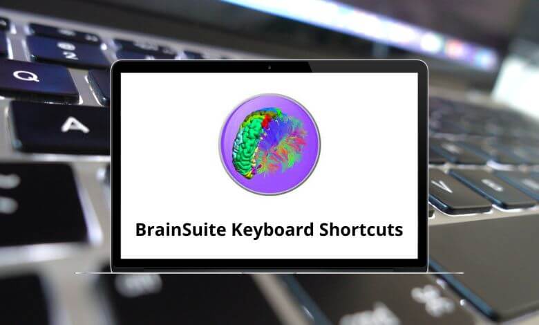 45 BrainSuite Keyboard Shortcuts - BrainSuite Shortcuts PDF